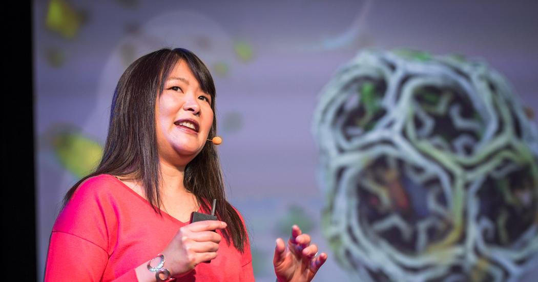 Janet Iwasa: How animations can help scientists test a hypothesis | TED ...