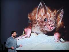 Ideas about Vaccines