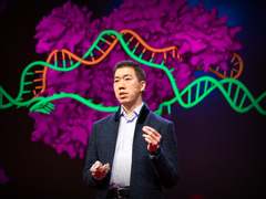 Ideas about Genetics