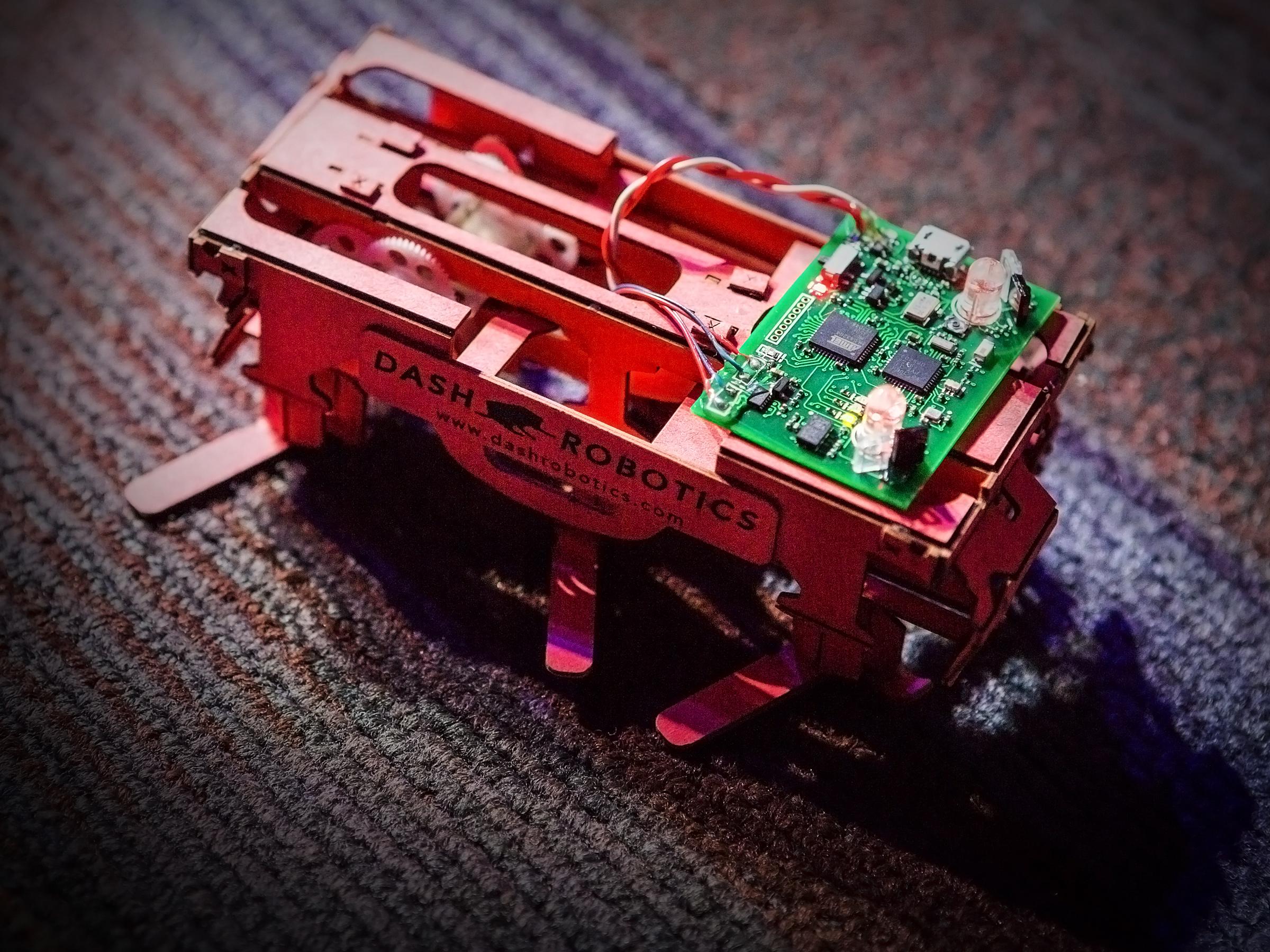 Insects are awesome! | TED Talks