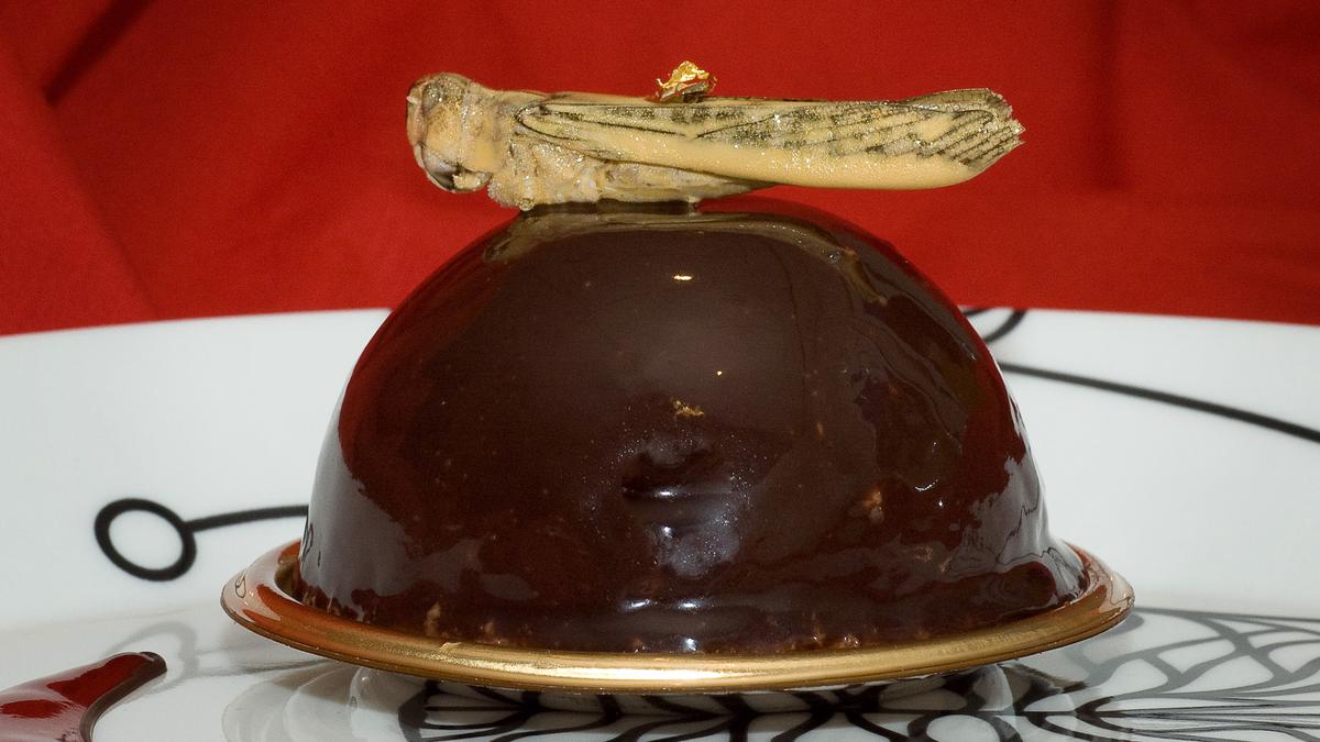 Marcel Dicke: Why not eat insects? | TED Talk