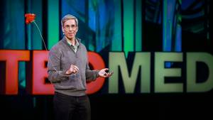 Talks for when you want to laugh and think | TED Talks