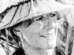 Marla Spivak: Why bees are disappearing | TED Talk