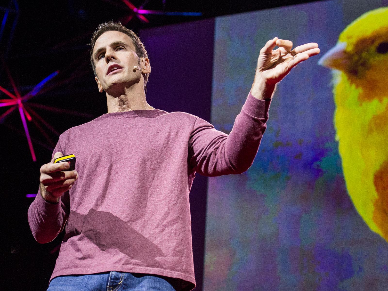 Read Montague: What we're learning from 5,000 brains | TED Talk