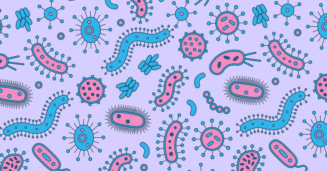 The fabulous life of germs | Playlist | TED.com