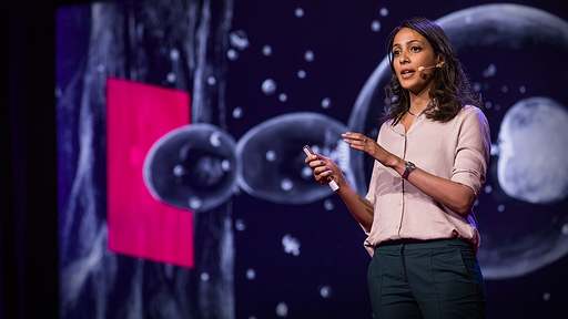 Mennat El Ghalid Speaker Ted
