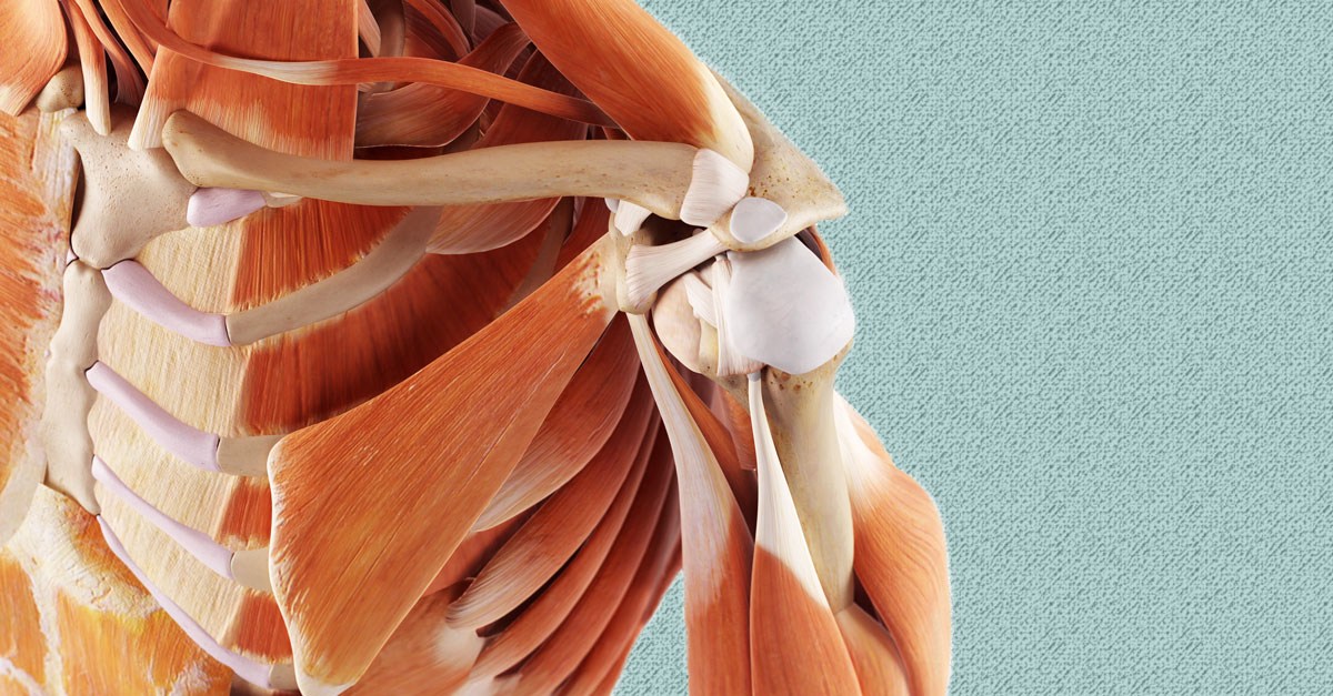 Regrowing the human body | TED Talks