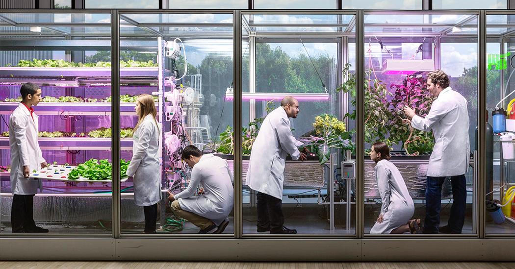 What's the future of food? | TED Talks