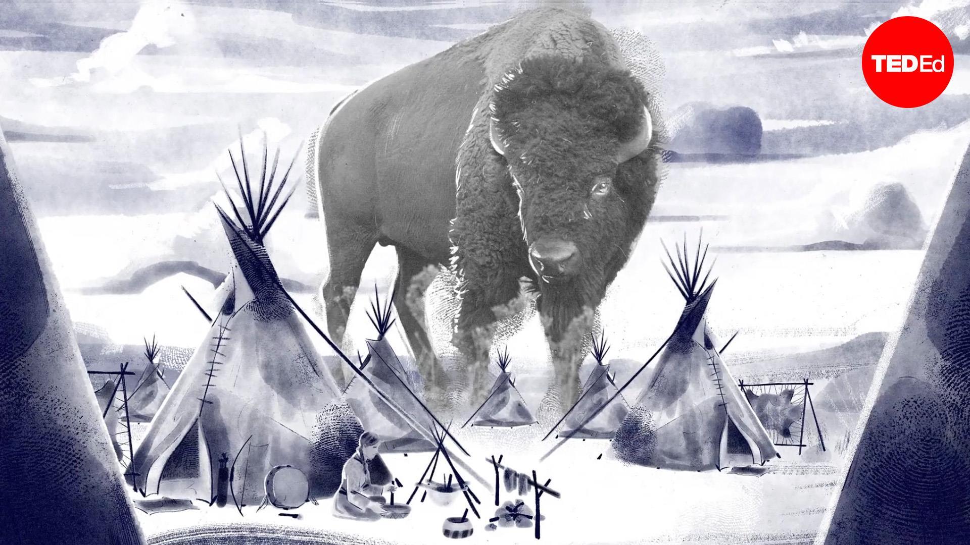 Andrew C. Isenberg: Why was the US government obsessed with this animal ...