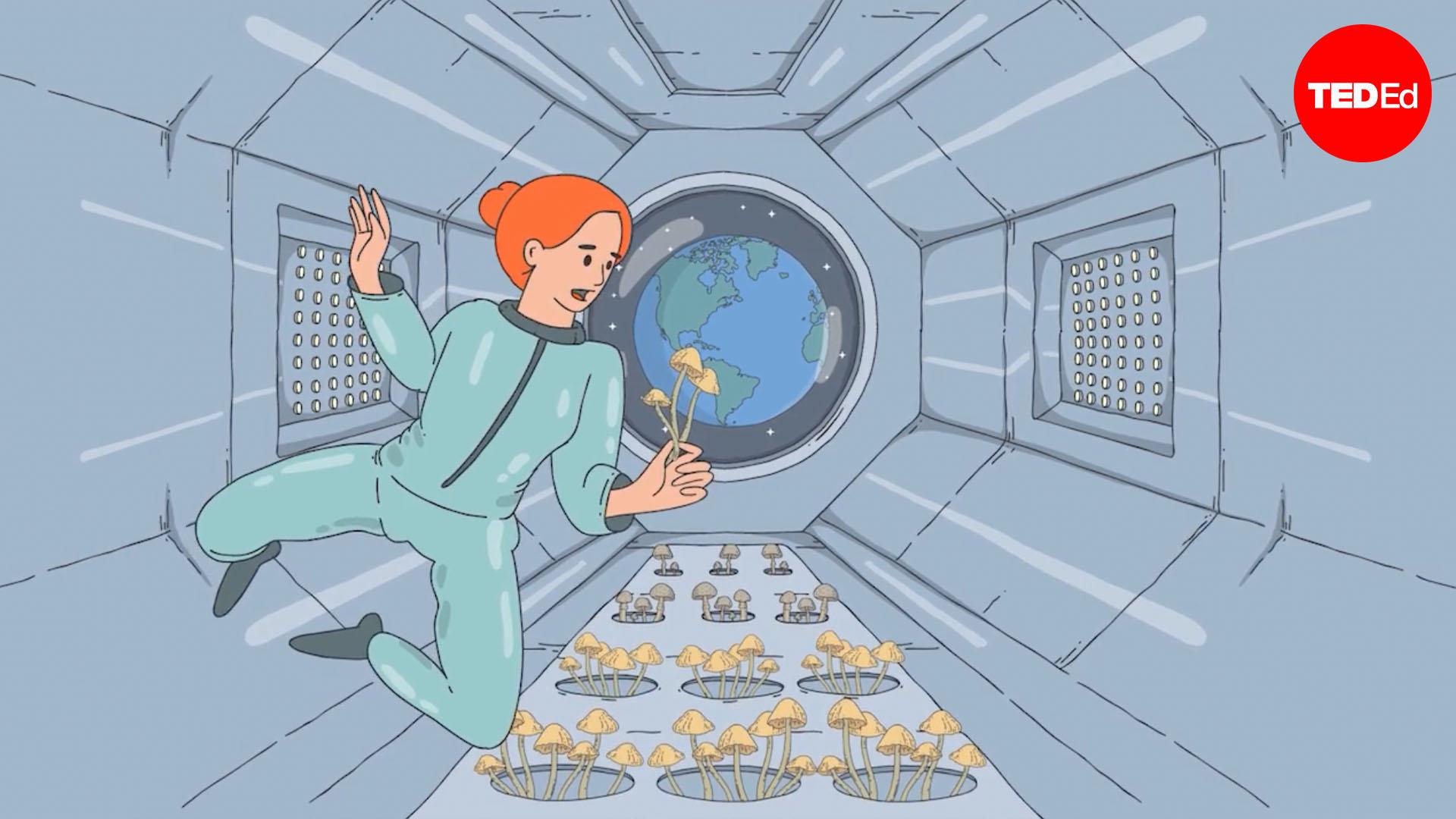 Shannon Odell: Why are scientists shooting mushrooms into space? | TED Talk