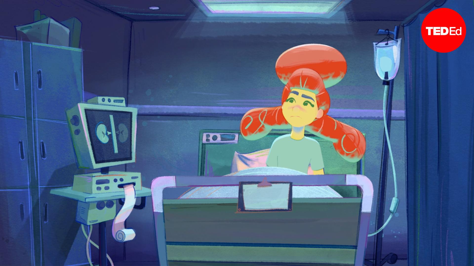 Ideas about Bioethics