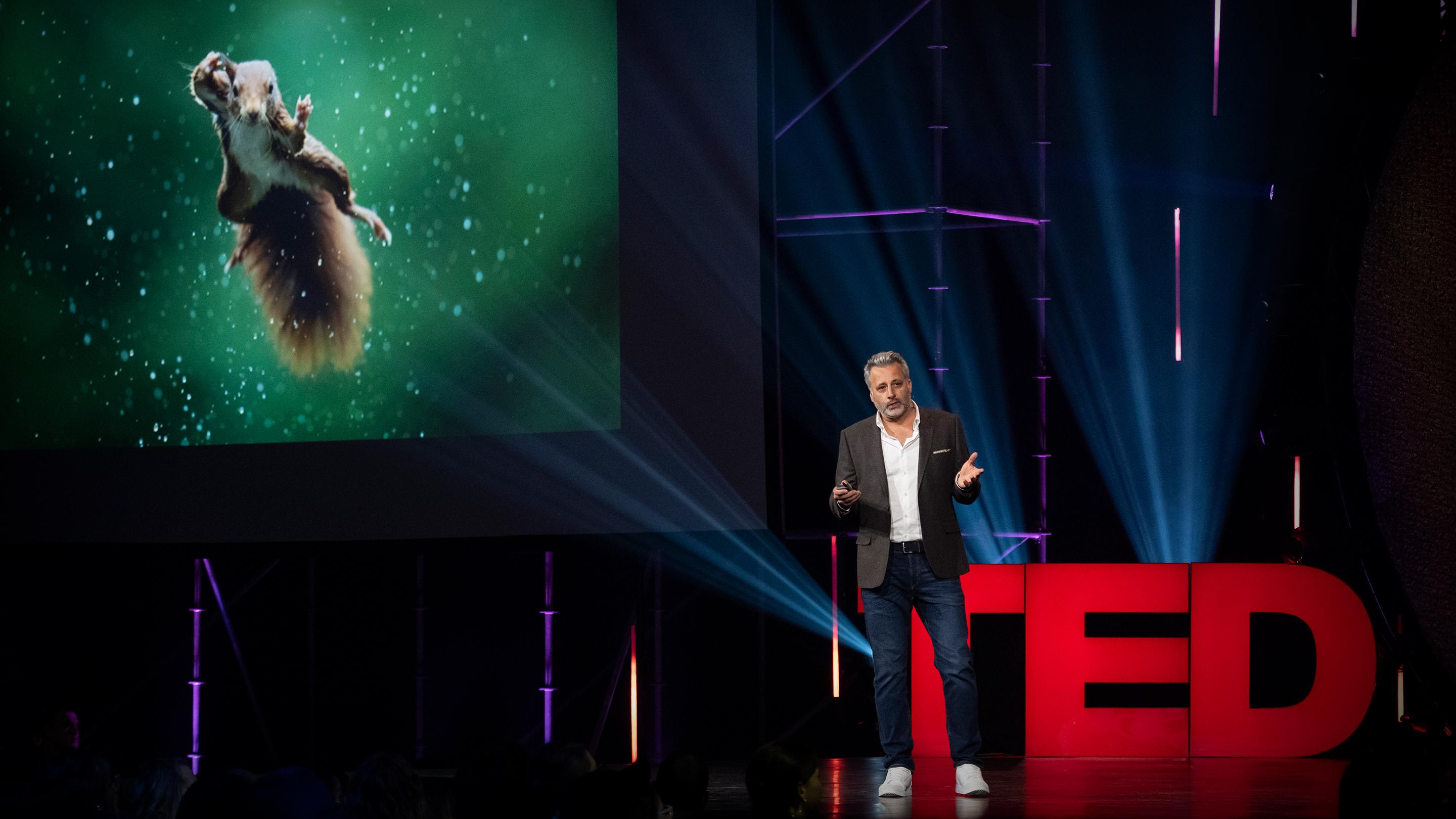 Tom Sullam: The award for best comedy wildlife photo goes to... | TED Talk