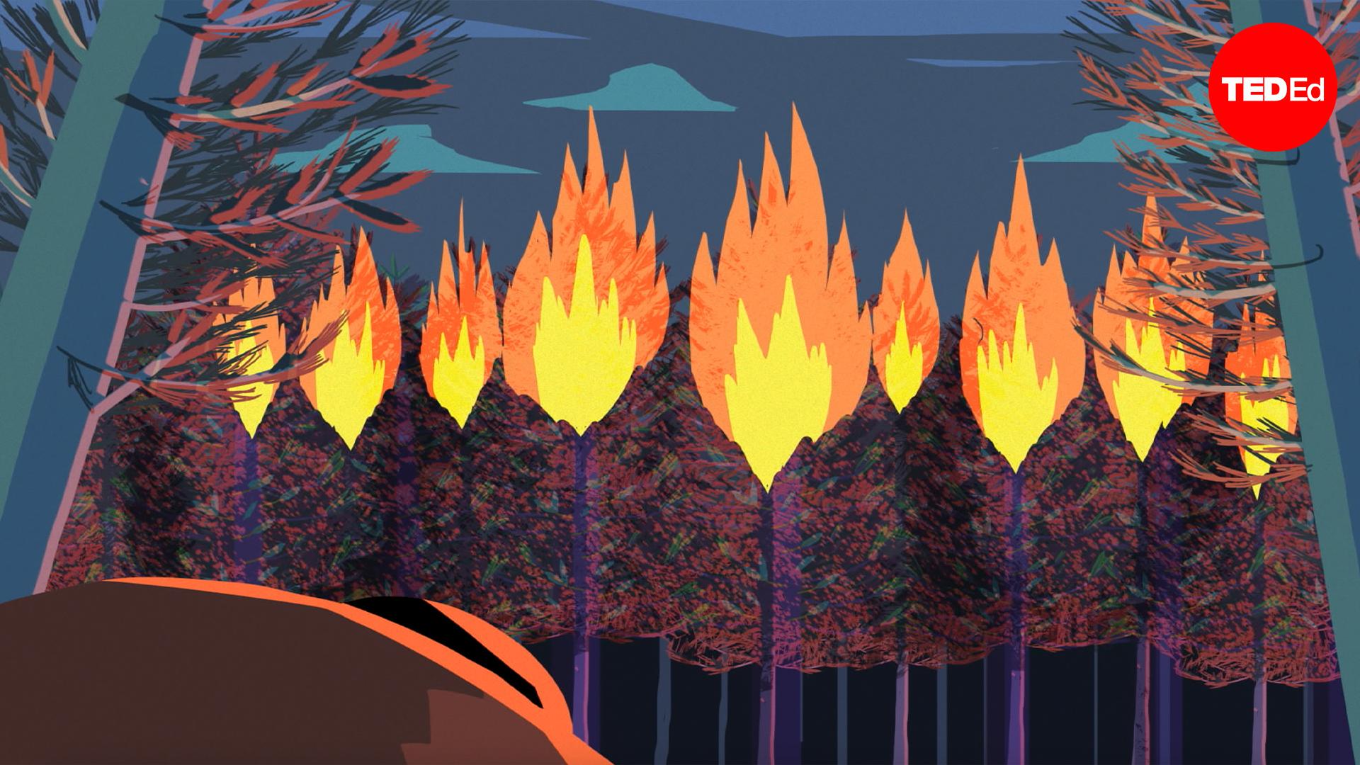 forest fire cartoon