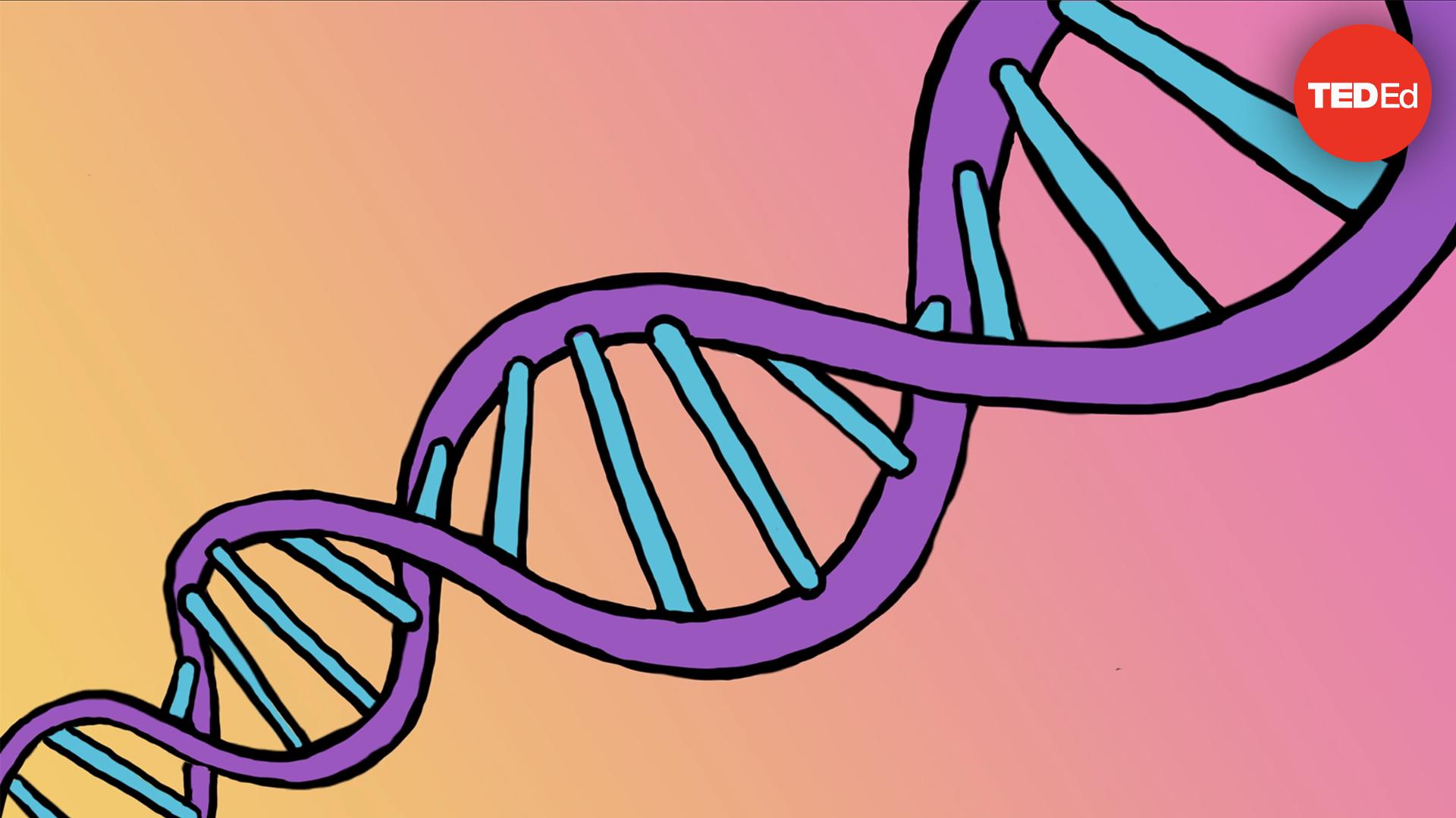 Cláudio L. Guerra: Rosalind Franklin: DNA's unsung hero | TED Talk