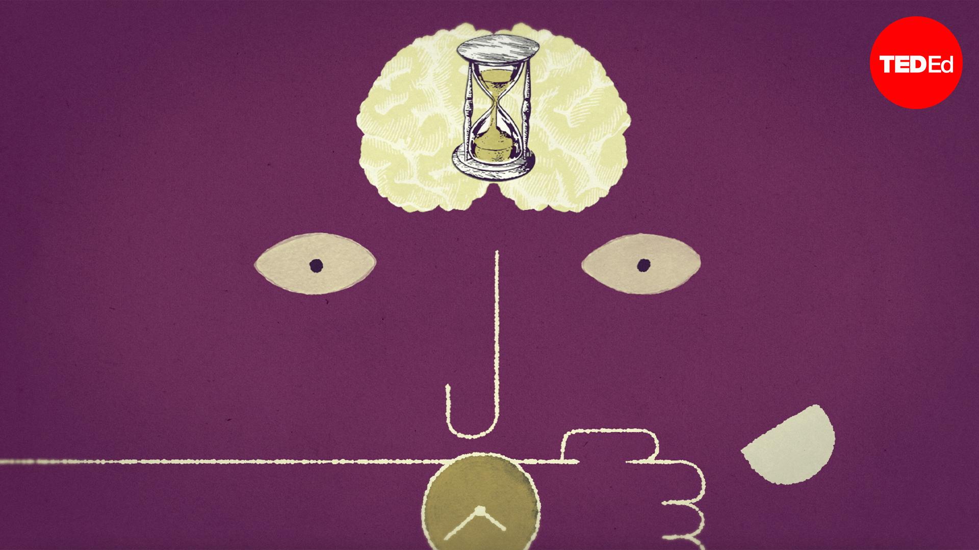 Marco A. Sotomayor: How does your body know what time it is? | TED Talk