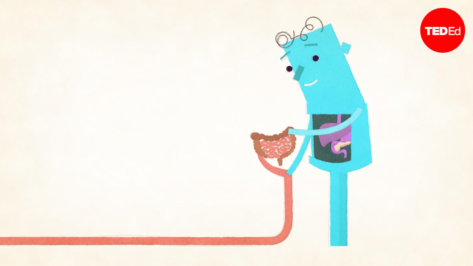 Amit H. Sachdev and Frank G. Gress: Who's at risk for colon cancer ...