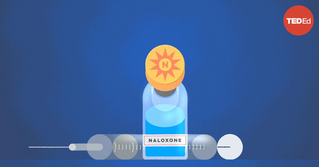 Mike Davis: What causes opioid addiction, and why is it so tough to ...