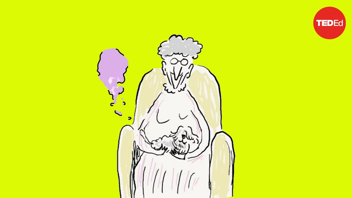 Nick Caruso and Dani Rabaiotti: The world's most dangerous fart | TED Talk