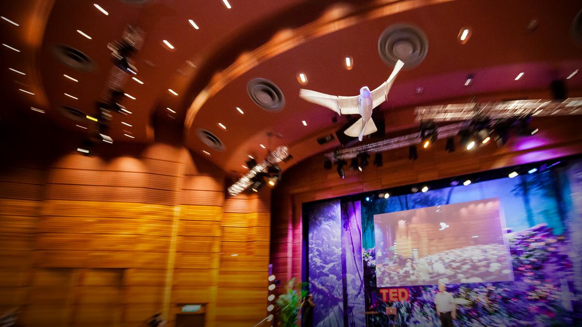 Markus Fischer: A robot that flies like a bird | TED Talk