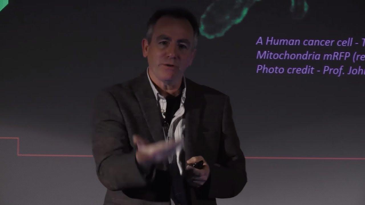 John Runions: Why would a scientist make a glowing green cat? | TED Talk