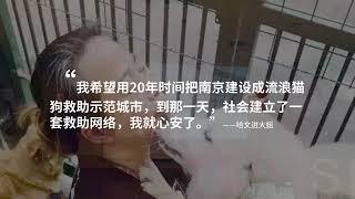 Lina Shen: How Simple Acts Promote Stray Animal Protection 流浪动物的背后 ...