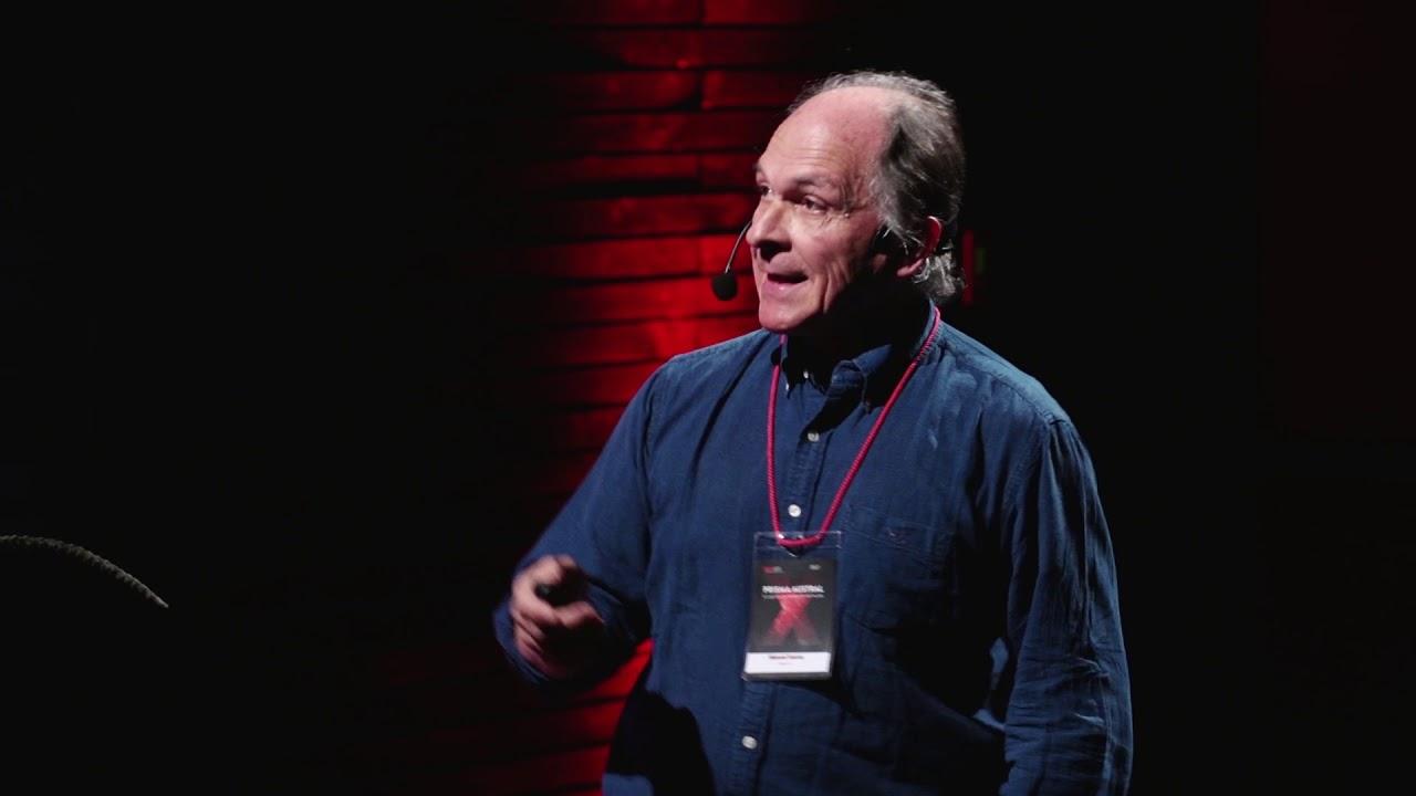 Manuel Suárez: Descubriendo Sin Fronteras - Historia del Hallazgo del ...