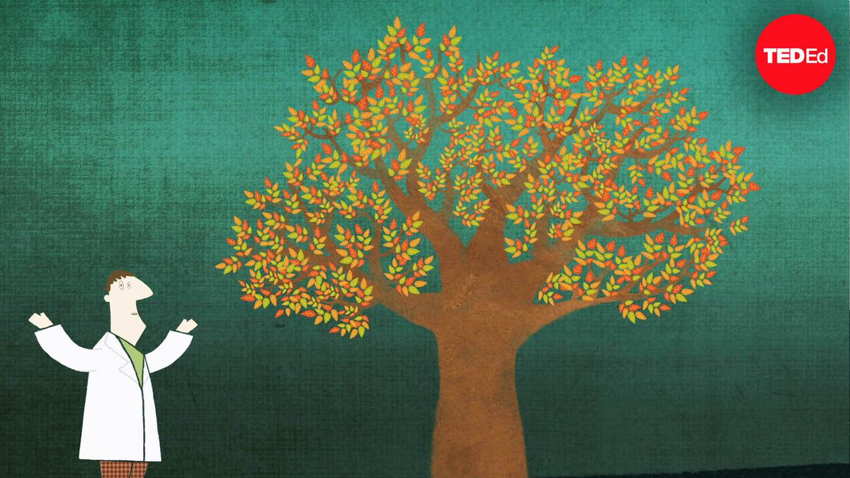 Tim Smith Big Data Ted Talk