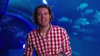 Mark Parry: Seagrass - It's time to restore what's left | TED Talk