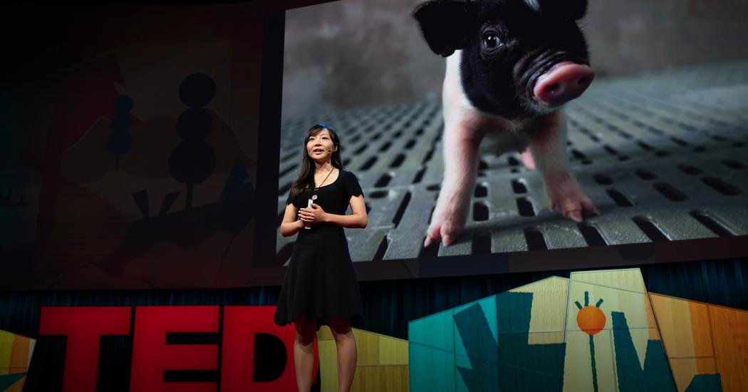 Luhan Yang: How to create a world where no one dies waiting for a ...