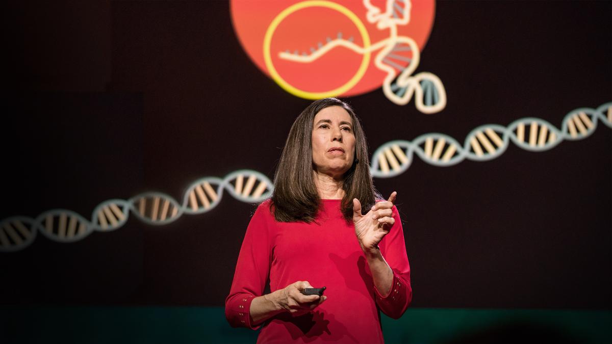 Ellen Jorgensen: What you need to know about CRISPR | TED Talk