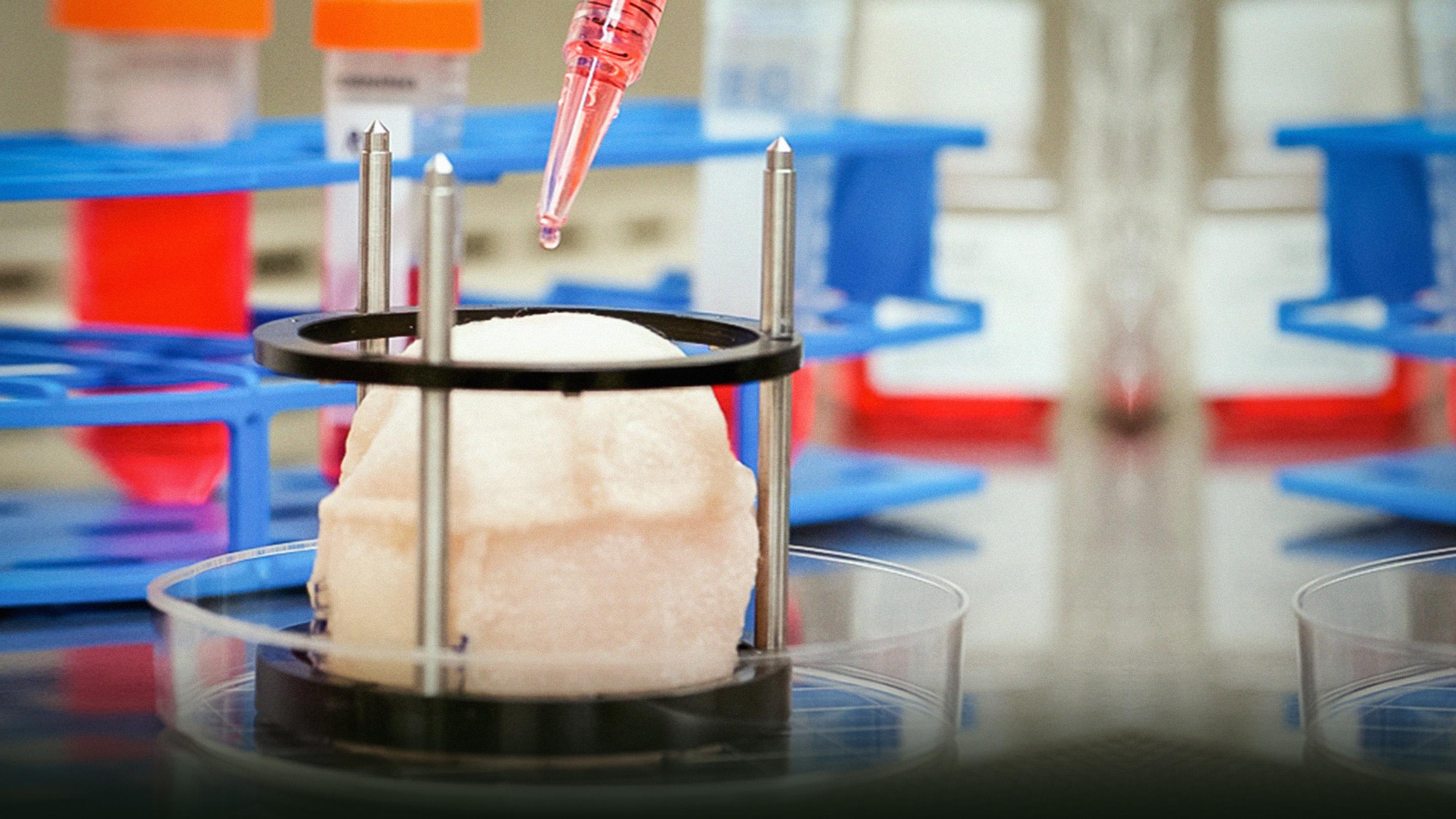 Should we redesign humans? | TED Talks