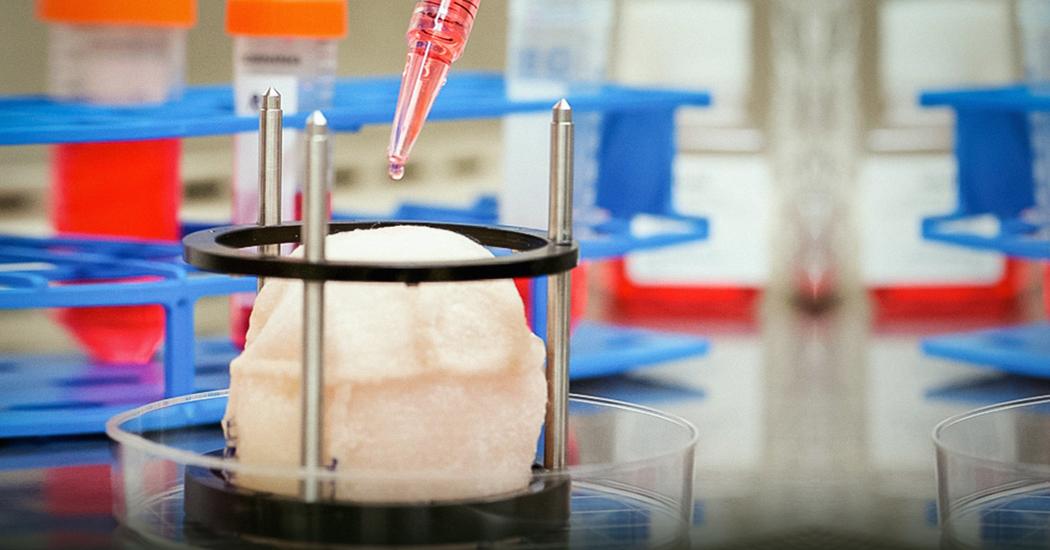 Anthony Atala: Growing new organs | TED Talk