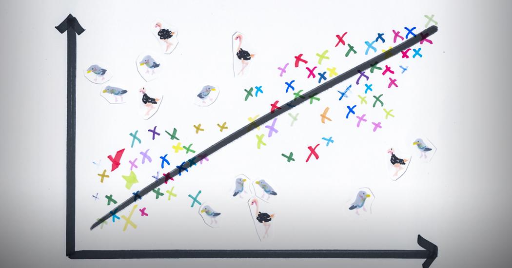 Mona Chalabi: What we miss when we focus on the average | TED Talk