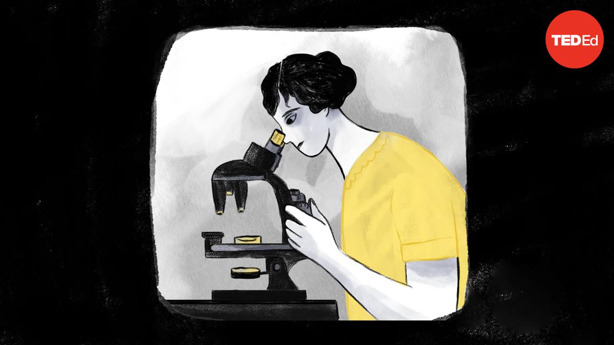 Mark Lytle: How one scientist took on the chemical industry | TED Talk