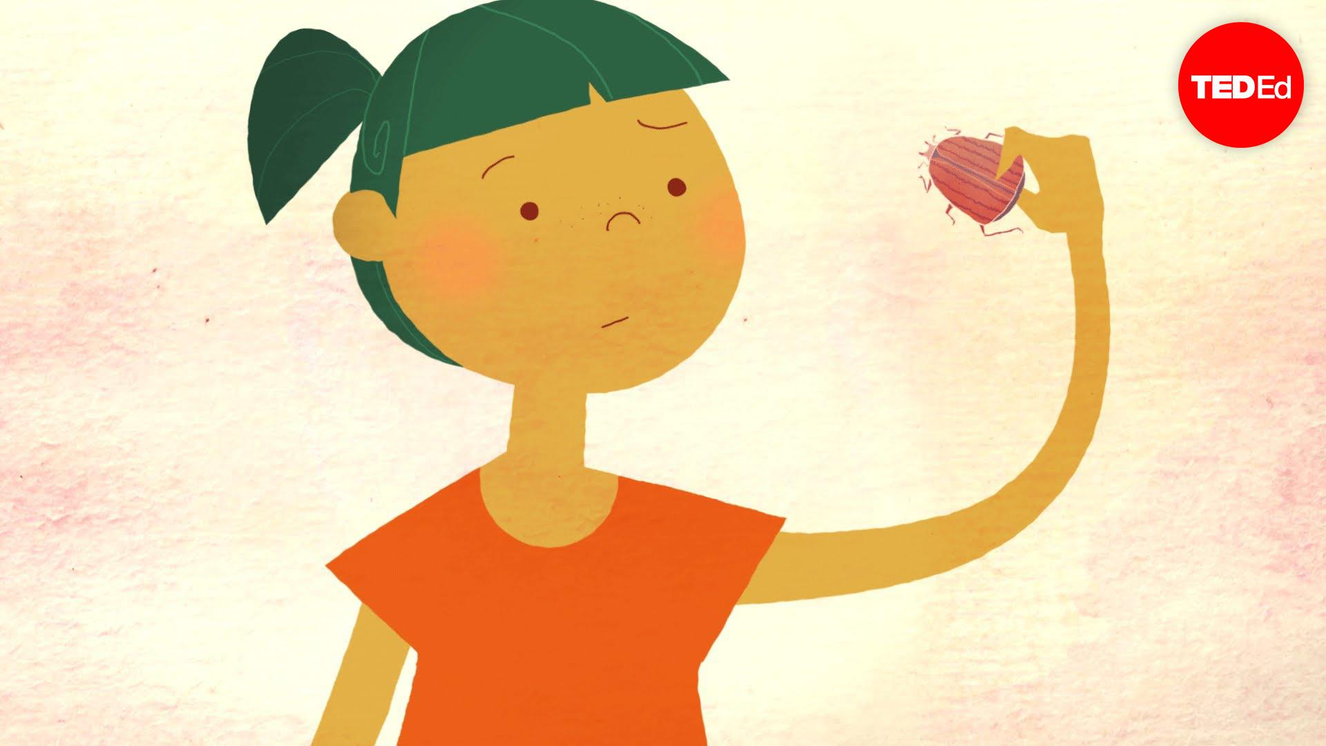 Emma Bryce: Should we eat bugs? | TED Talk