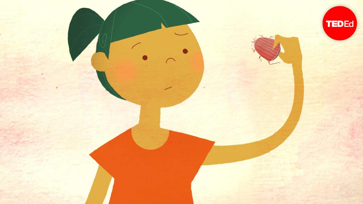 Emma Bryce: Should we eat bugs? | TED Talk