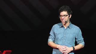 Mehdi Moussaïd: Guide de survie dans une foule en panique | TED Talk