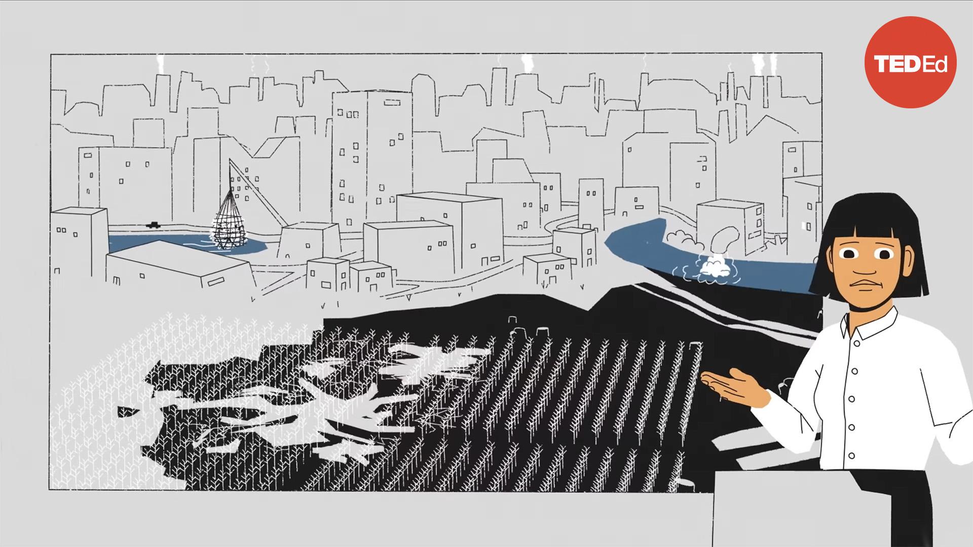 TED-Ed: Can the economy grow forever? | TED Talk