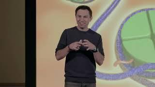 David Sinclair: Is Aging Reversible? A Scientific Look with David ...