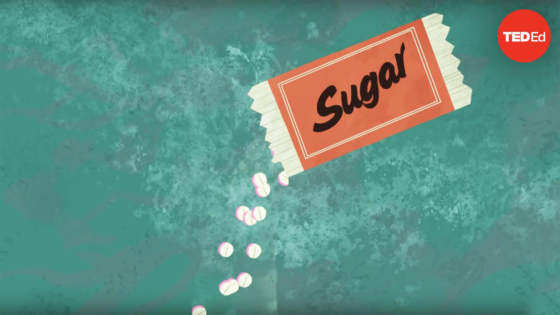 Emma Bryce: The power of the placebo effect | TED Talk