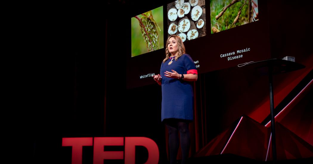 Laura Boykin: How we're using DNA tech to help farmers fight crop ...