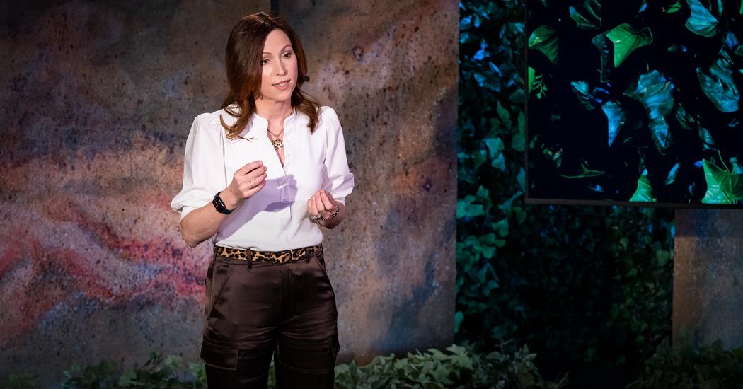 Ashley M. Grice: The power of purpose in business | TED Talk