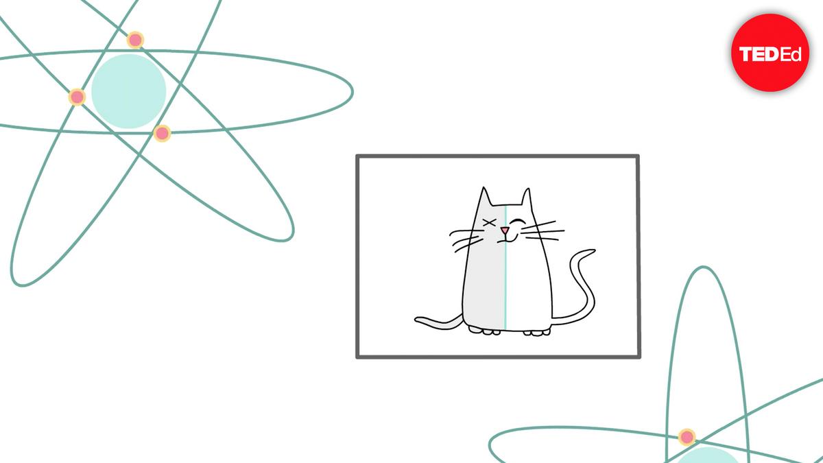 Chad Orzel: Schrödinger's cat: A thought experiment in quantum ...