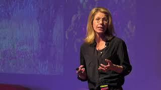 Katharine Suding: Curiosity starts in your own backyard | TED Talk