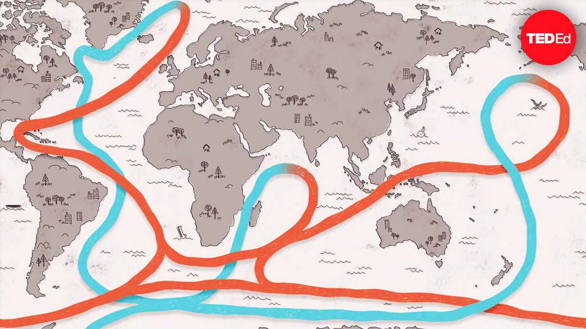 Jennifer Verduin: How do ocean currents work? | TED Talk
