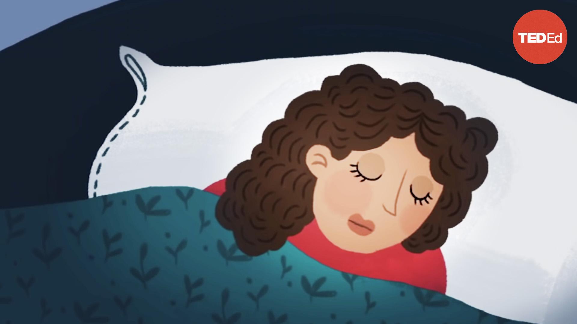 Masako Tamaki: Can you be awake and asleep at the same time? | TED Talk