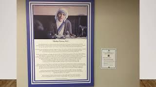 John Stemmer: Where our past comes alive | TED Talk