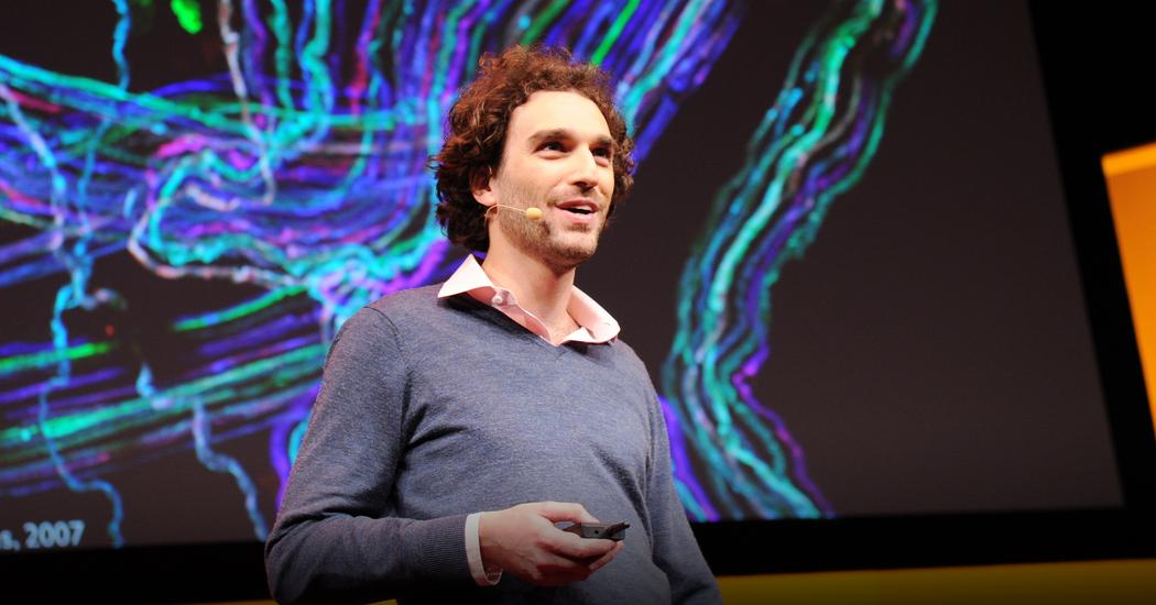 Carl Schoonover: How to look inside the brain | TED Talk