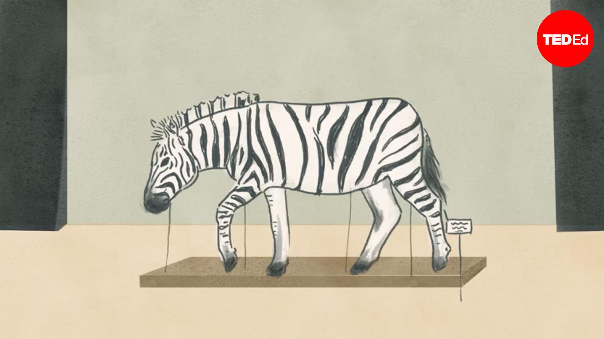 Nigel Rothfels: The return of Mongolia's "wild" horses | TED Talk