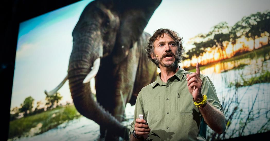 Steve Boyes: How we're saving one of Earth's last wild places | TED Talk